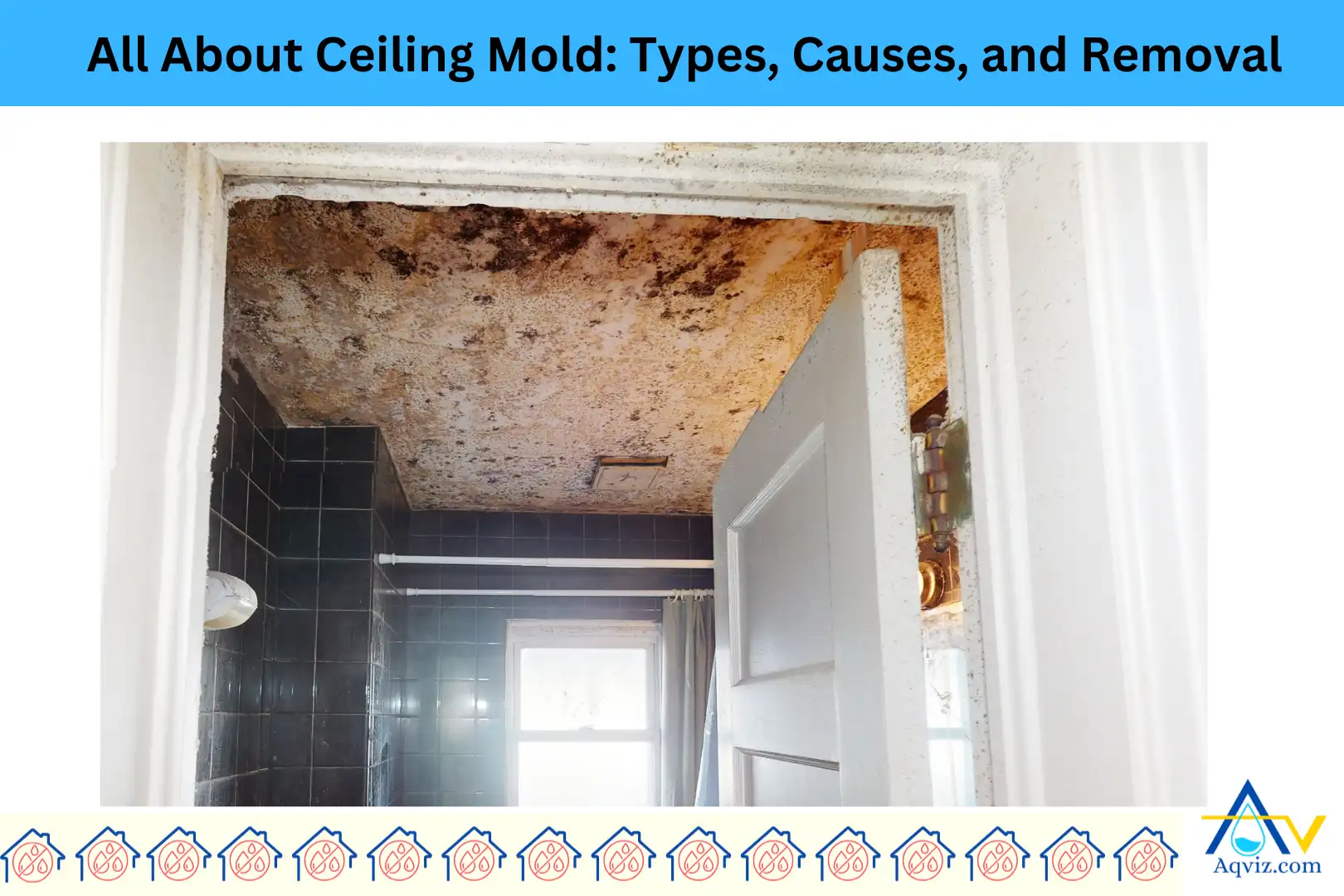 All About Ceiling Mold: Types, Causes, and Removal