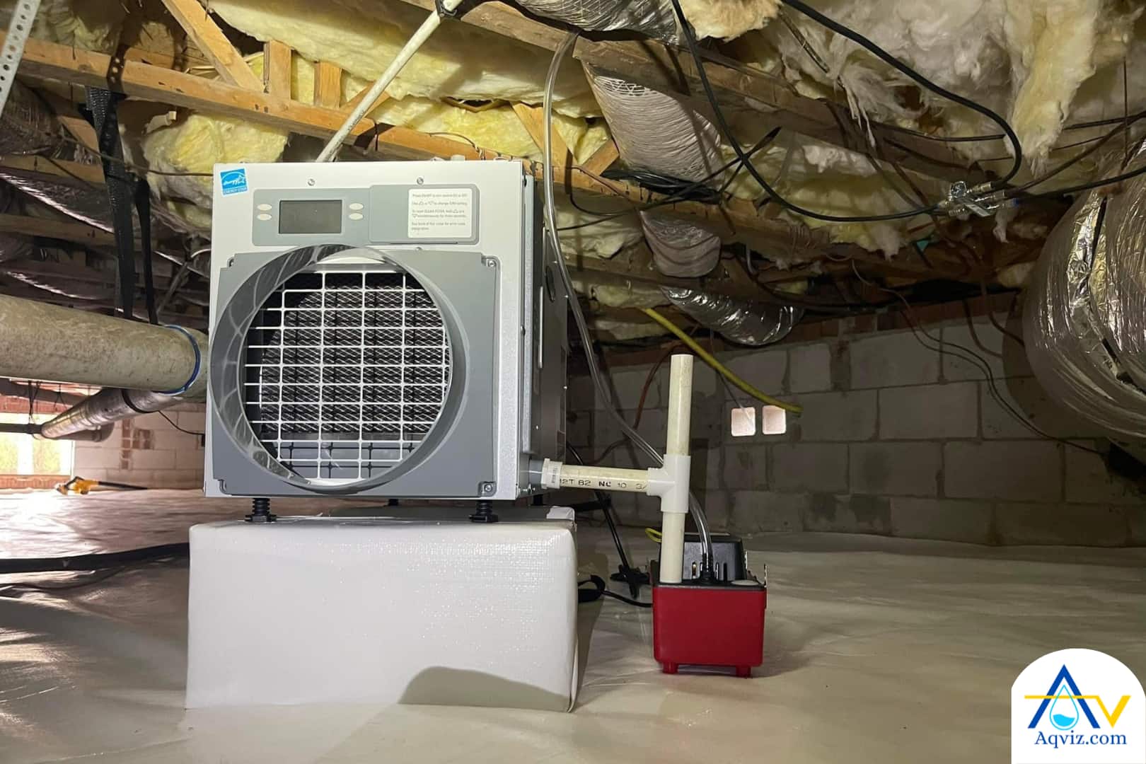 Crawl Space Humidity: Ideal Levels, Damage Risks and Fixes