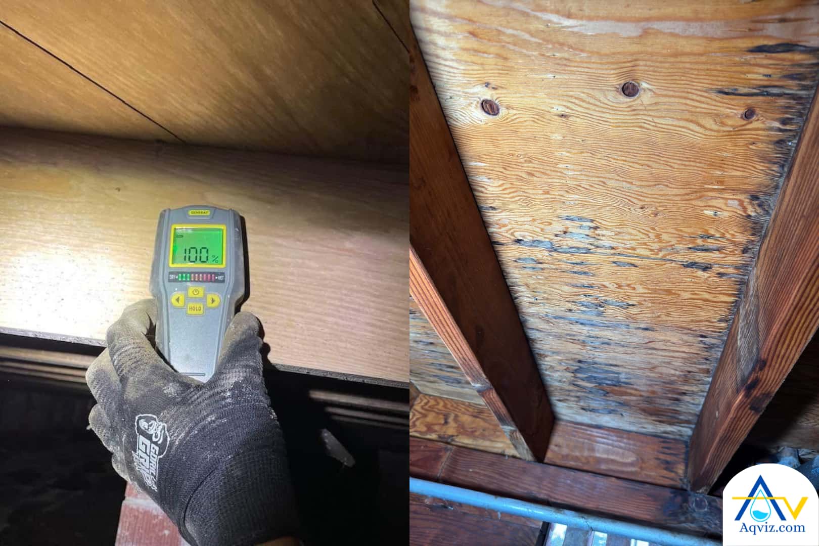 Crawl Space Mold: Warning Signs, Damage and Removal Tips