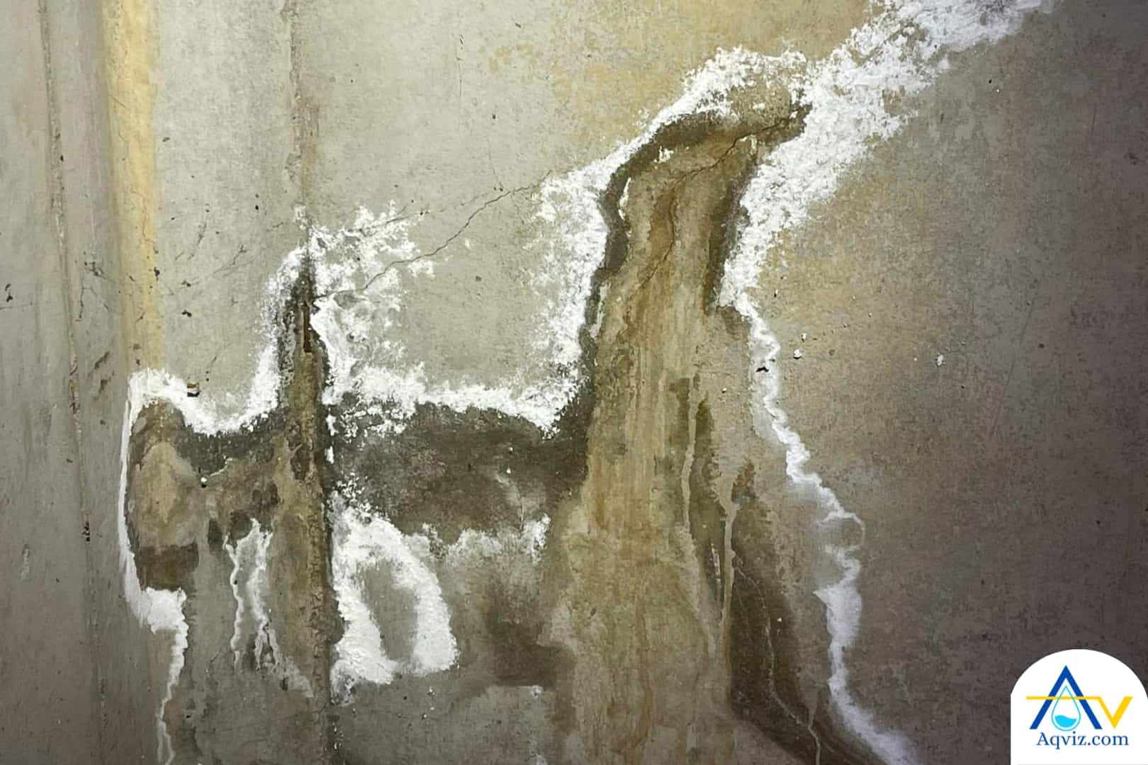 Basement Efflorescence: Signs, Causes, Impacts and Solutions