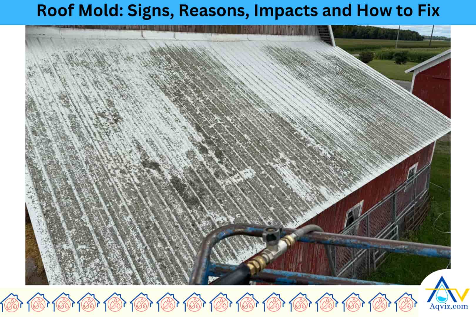 Roof Mold: Signs, Reasons, Impacts and How to Fix